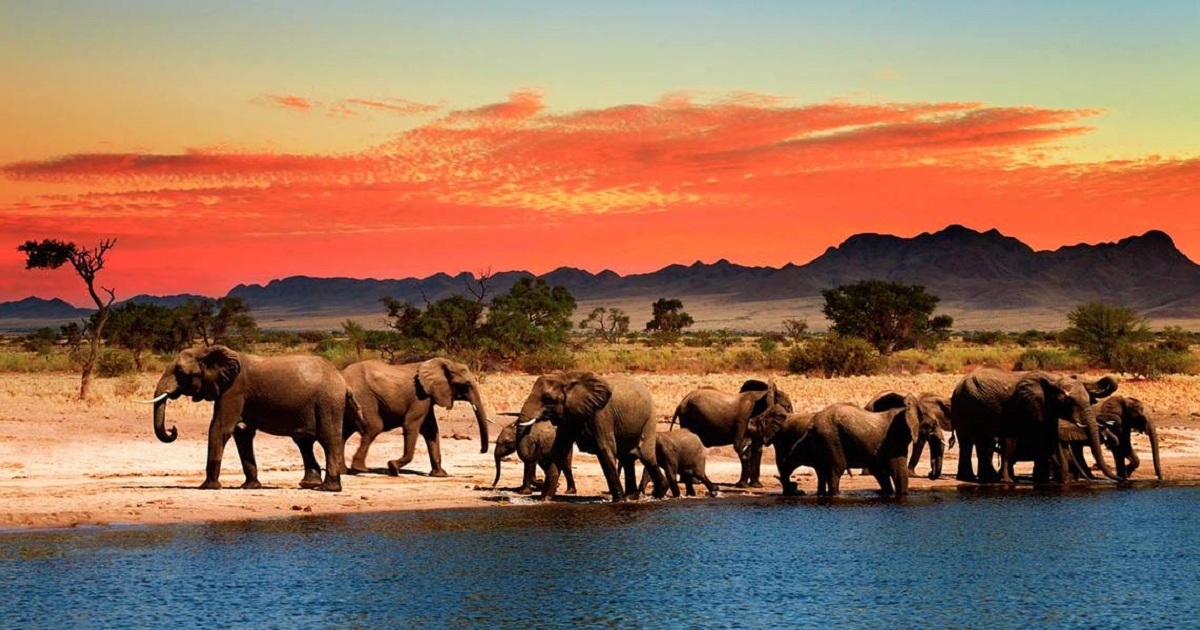 Tour Du Lịch Nam Phi | Migola Travel