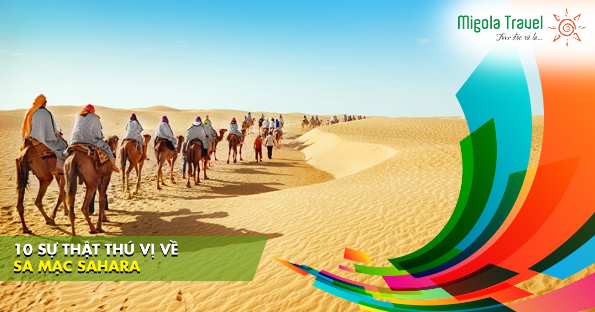 10 sự thật thú vị về Sahara - sa mạc huyền thoại của Trái Đất