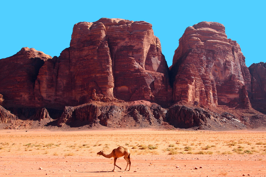 Sa mạc Wadi Rum – Phim Trường Huyền Thoại Giữa Trái Tim Trung Đông ...